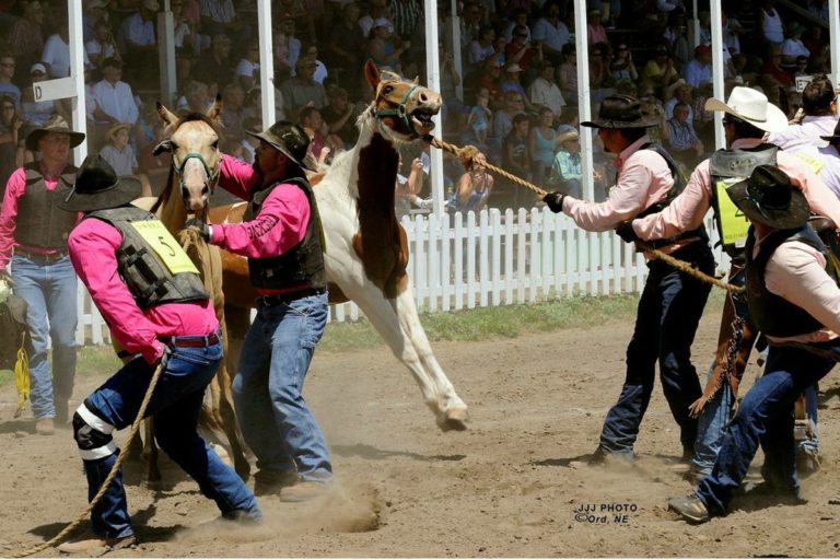 Nebraska's Big Rodeo